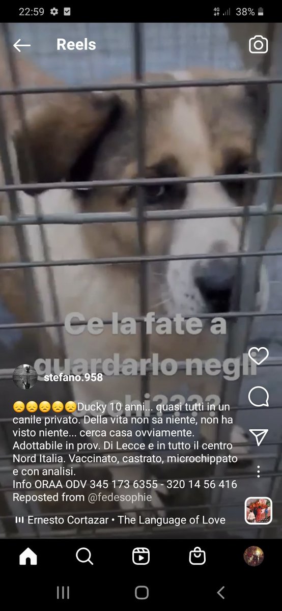 Elisabetta Poletti on Twitter: "RT @Sarastellina3: