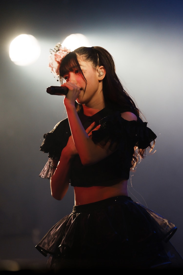 さねたんJAPONICA on Twitter: さねたんJAPONICA on Twitter: