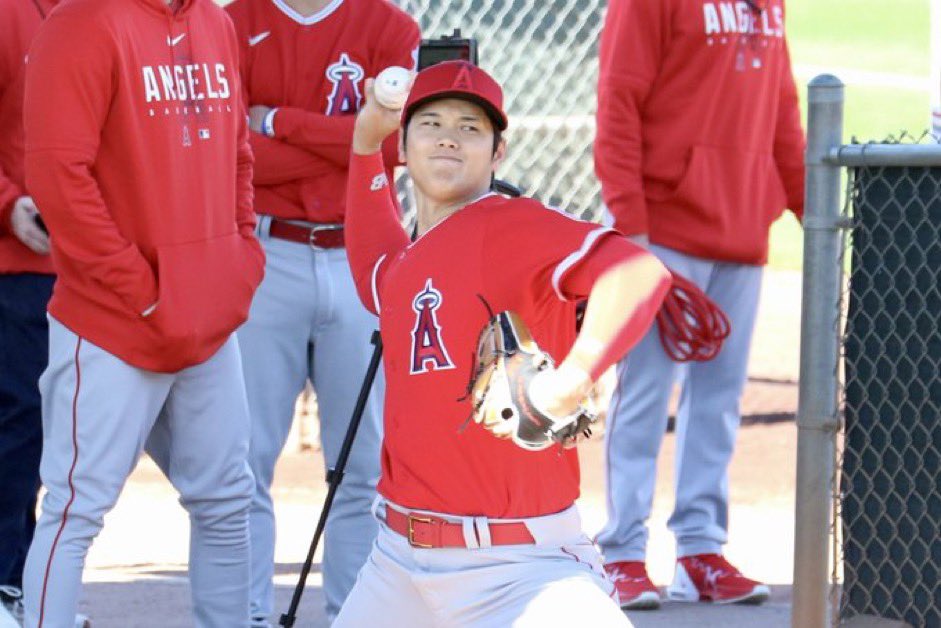 Ben Verlander on Twitter: "Baseball is BACK!! Pitchers & Catchers = Back 🦄🦄🦄 = BACK"