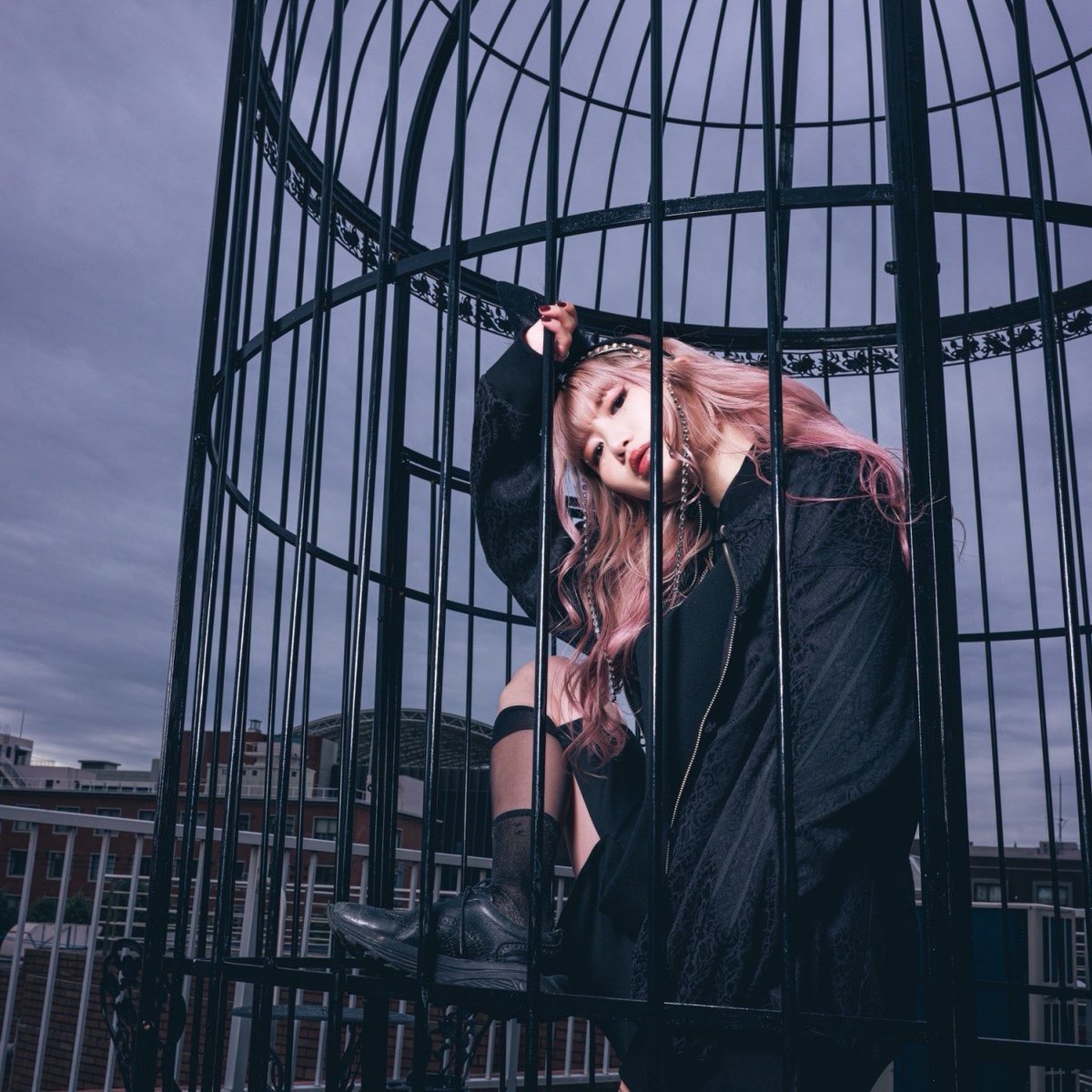 𝗱𝗲𝗮𝗿𝗶𝘀｜ディアリス on Twitter: "【本日お昼12時より発売開始!】 2023 Spring collection vol.1 - Naughty Mode - BLACKを ...