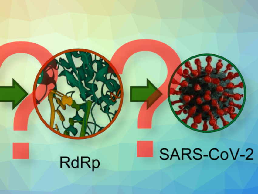 ChemistryViews on Twitter: "Impact of RNA Modifications on SARS-CoV-2 RNA Synthesis: RNA ...