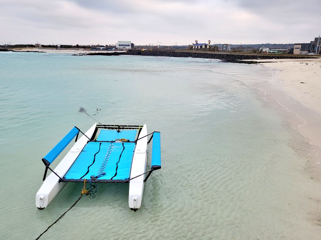 OLT on Twitter: "내가 평대리에 숙소하며 이런말 하긴 뭐하지만... 바다빛은 김녕이 최고다. 그런데 아기자기 제주 옛동네의 고즈넉함과 예쁨은 평대리가 최고임 ...