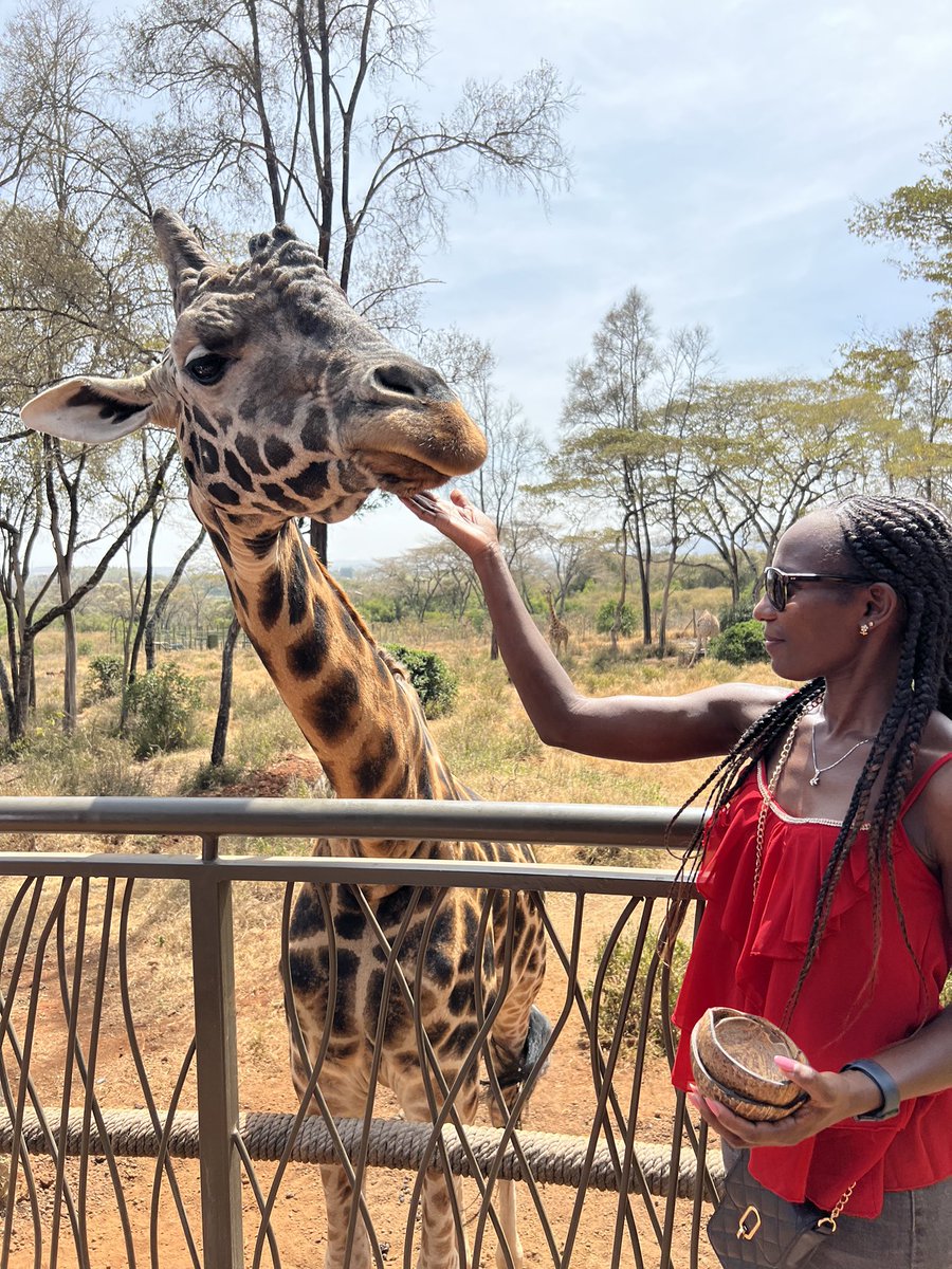 Budget Things you can do this weekend. 1. I didn't know Giraffe Center Revamped! It looks so ...