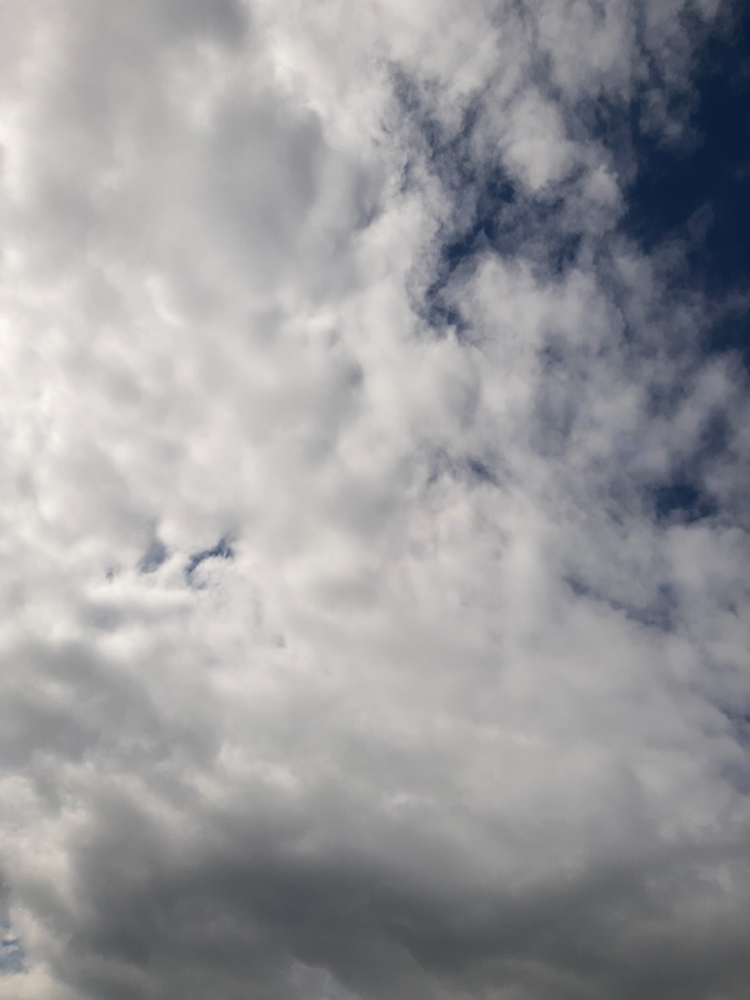 EDDZ C. (エド) on Twitter: "@yui_k06 いいなぁ。晴天うらやましいです。 https://t.co/bg8L903PqD" / Twitter