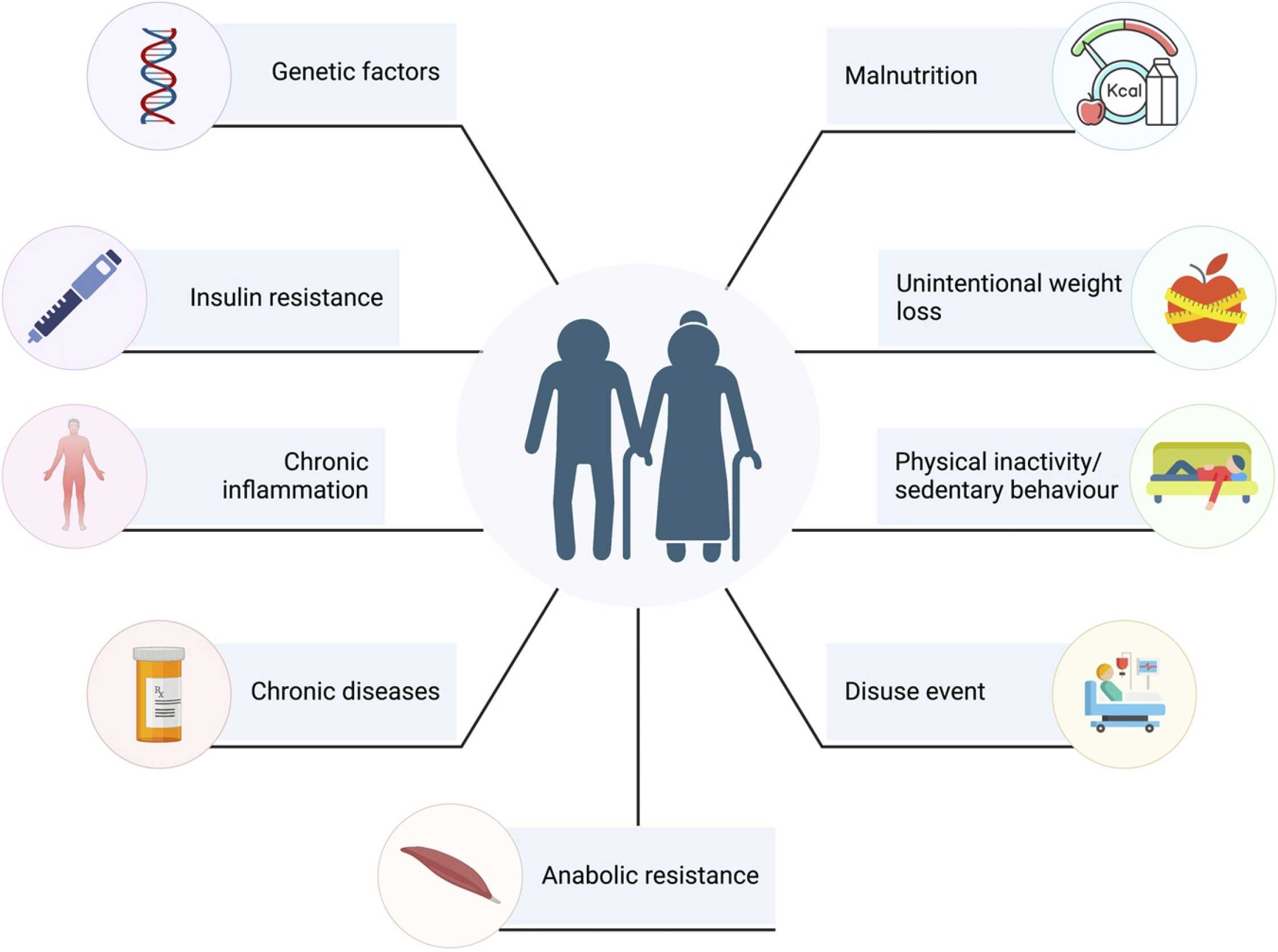 🥼Agingdoc1⭐MD, PhD 🔔 on Twitter: "Fig. 5 Variables contributing to increasing or decreasing the ...