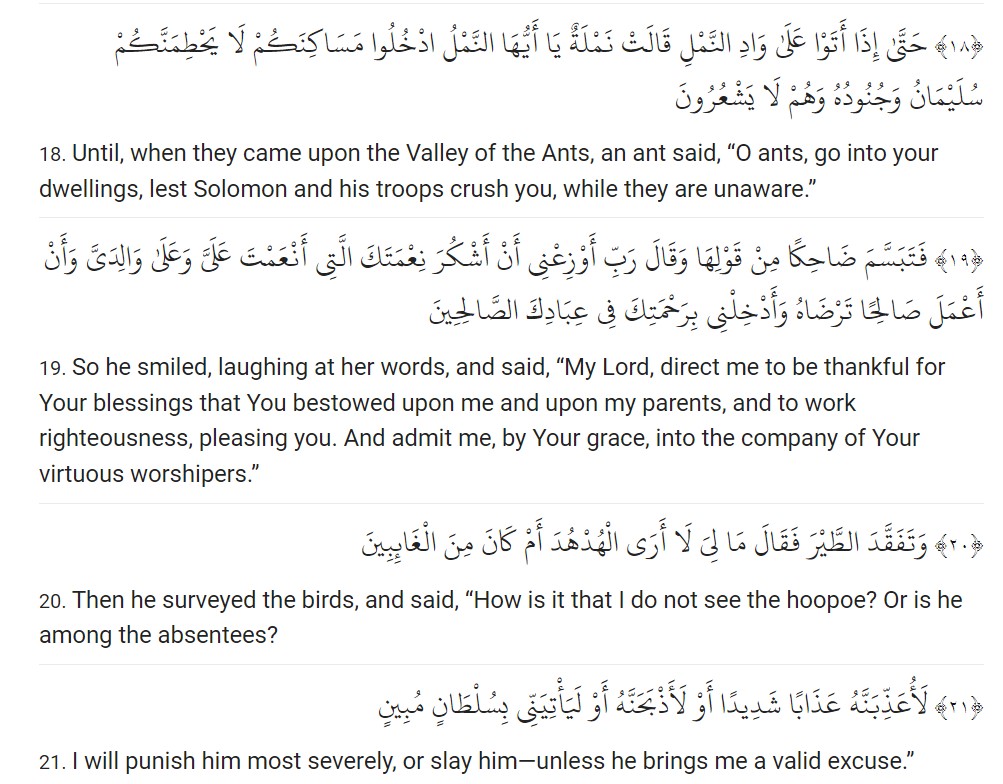 GabrielSaidR on Twitter: "In his book "Solomon and the Ant" David ...