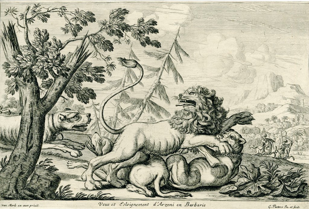 🇩🇿🏛️🇬🇧 سلسلة الجزائر في المتاحف العالمية 2. [#المتحف القومي البريطاني ...