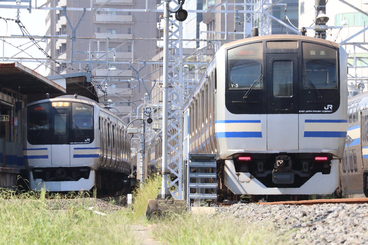 松の木 on Twitter: "#E217系の日 2021年9月の錦糸町電留線撮影会から。 E235系は基本付属とも13編成で増備が一時停止し、運用上錦糸町留置がなかったためこの時期でも ...