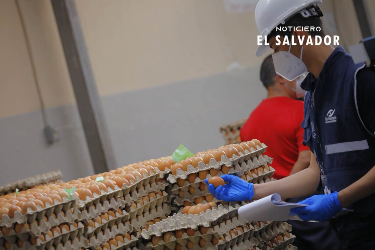 Noticiero El Salvador 馃嚫馃嚮 on Twitter: Noticiero El Salvador 馃嚫馃嚮 on Twitter: