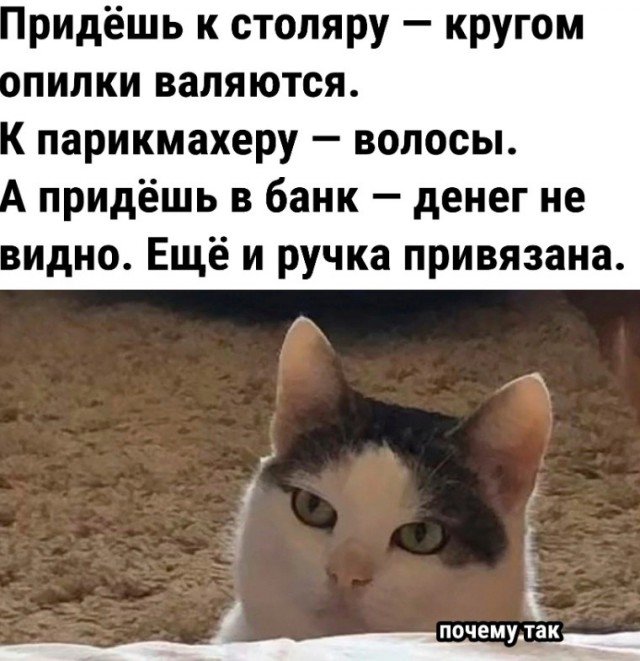 Yaplakal.com on Twitter: "Нуштош 33 картинки: https://yaplakal.com/forum2/topic2574997.html…"