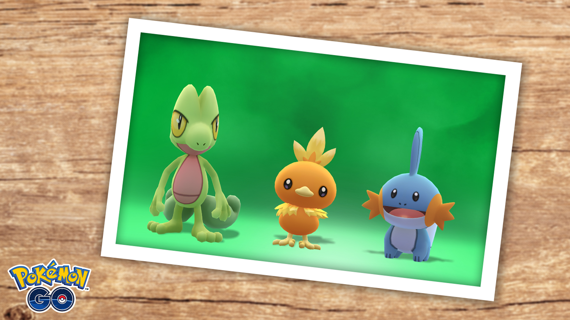 Pokemon Wallpaper Starters Hoenn