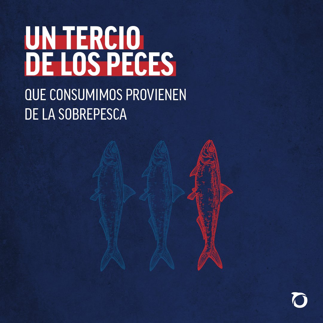 Oceana Perú on Twitter: Oceana Perú on Twitter: