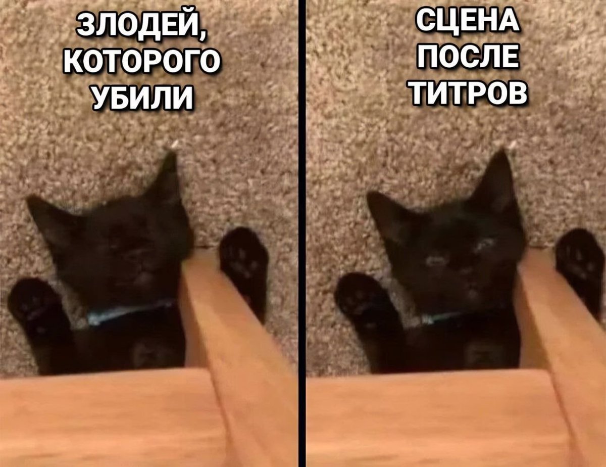 Yaplakal.com on Twitter: