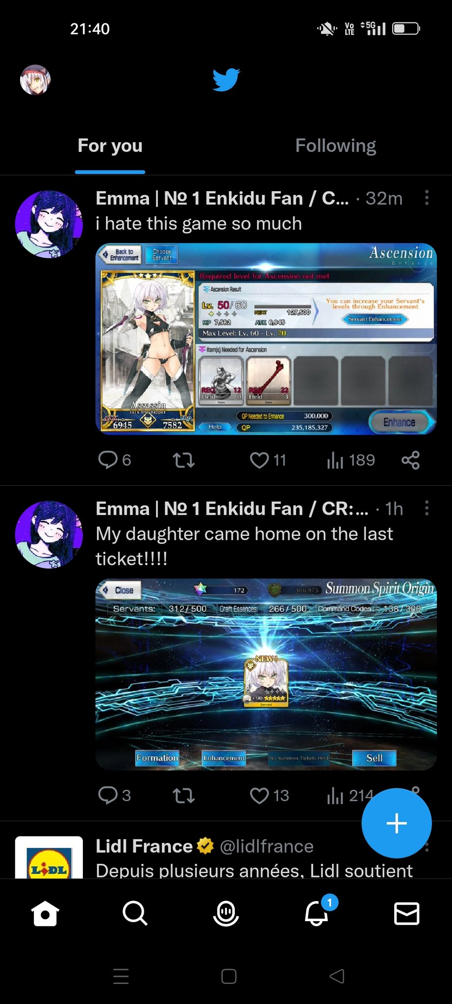 Hyleea on Twitter: "Guys I found the FGO Experience in 2 tweets https://t.co/pVbW6tvvAJ" / Twitter