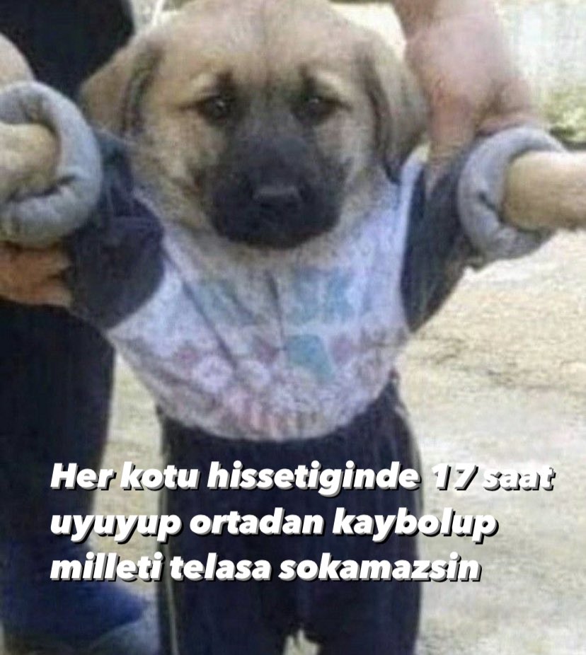 ee1 on Twitter: "https://t.co/9ORT0ZhPSk" / Twitter