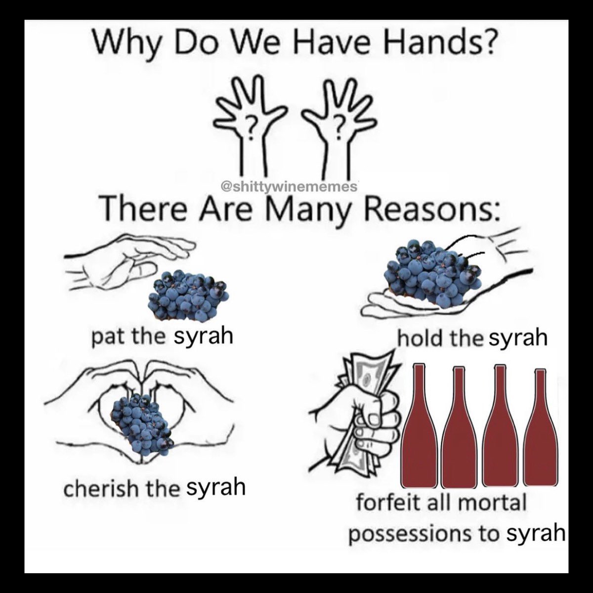 Shitty Wine Memes on Twitter: "Happy Syrah Day"