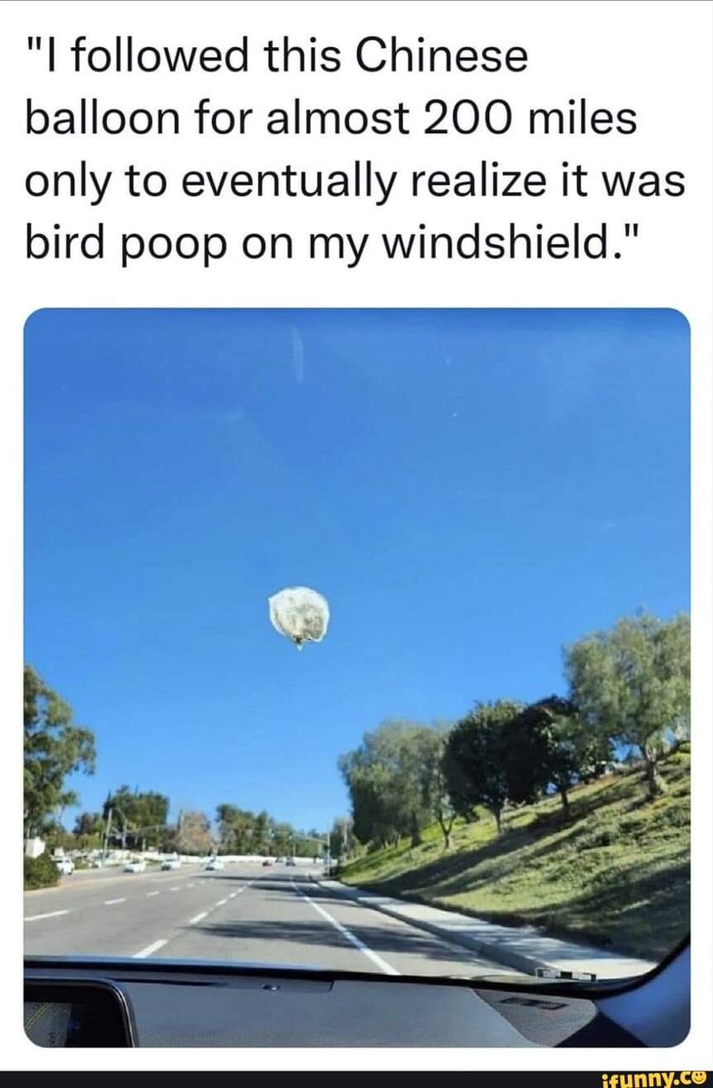 Birdshit Memes