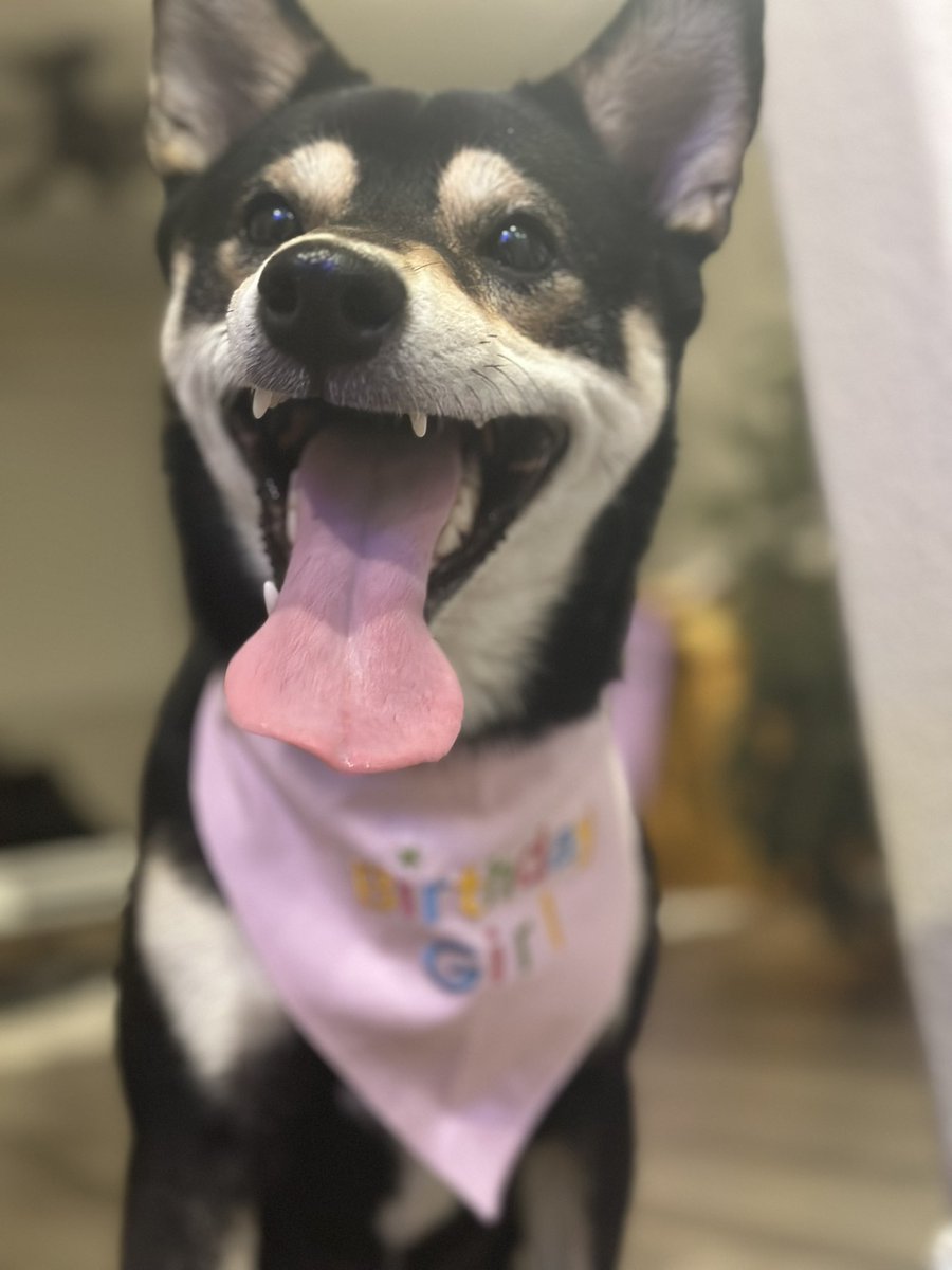 💕💕💕 Demi 🦇 Free Onlyfans @demisutra