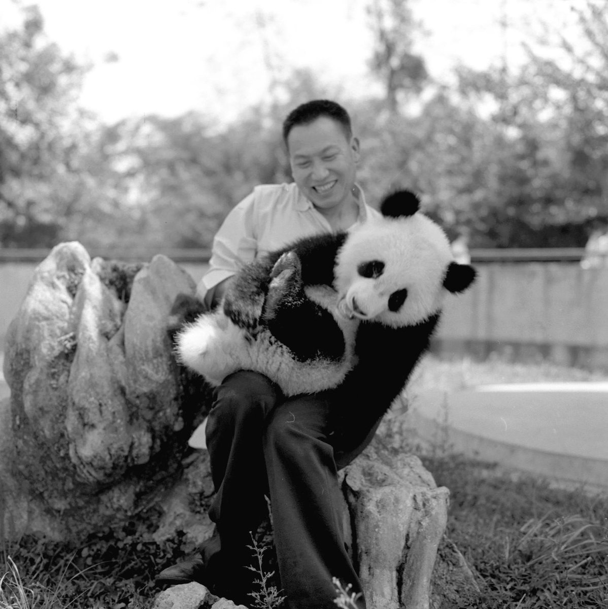 China's pioneer in ecological and biological research of giant pandas ...