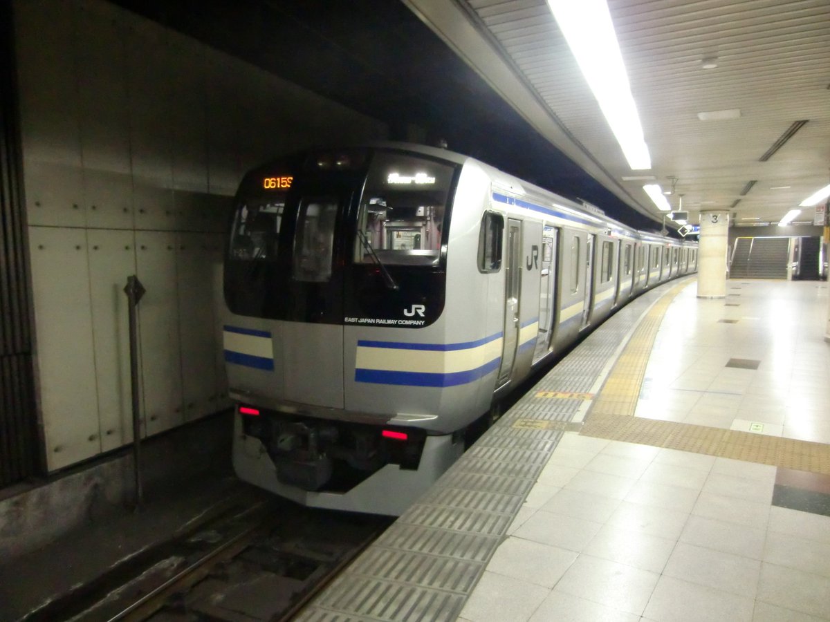 G鉄党のアクティー on Twitter: "#これを見た人はE217系の写真を貼る #E217系の日"