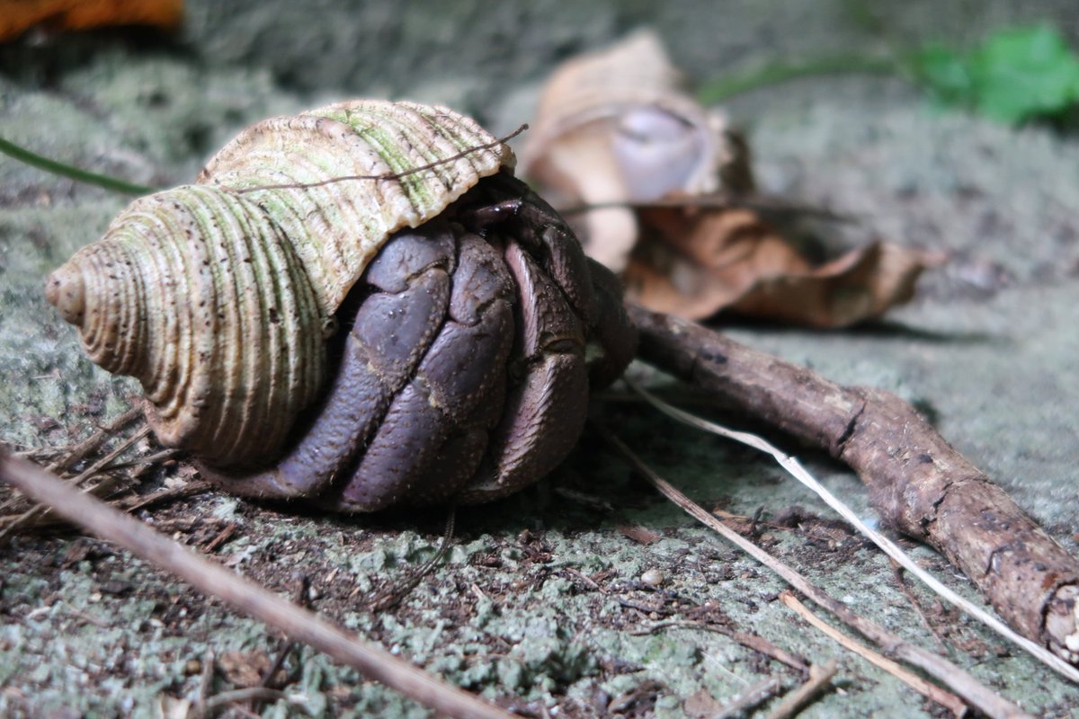 Jun & Ridge(@SystemJun) - Twilog