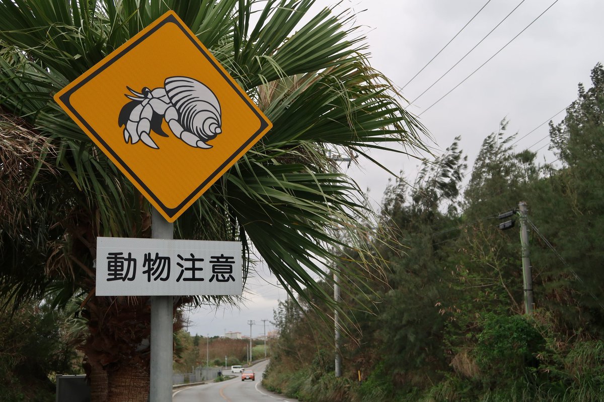 Jun & Ridge(@SystemJun) - Twilog