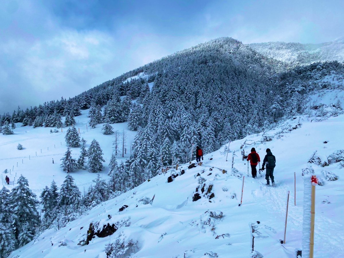 marusho(@marusho_summers) - Twilog