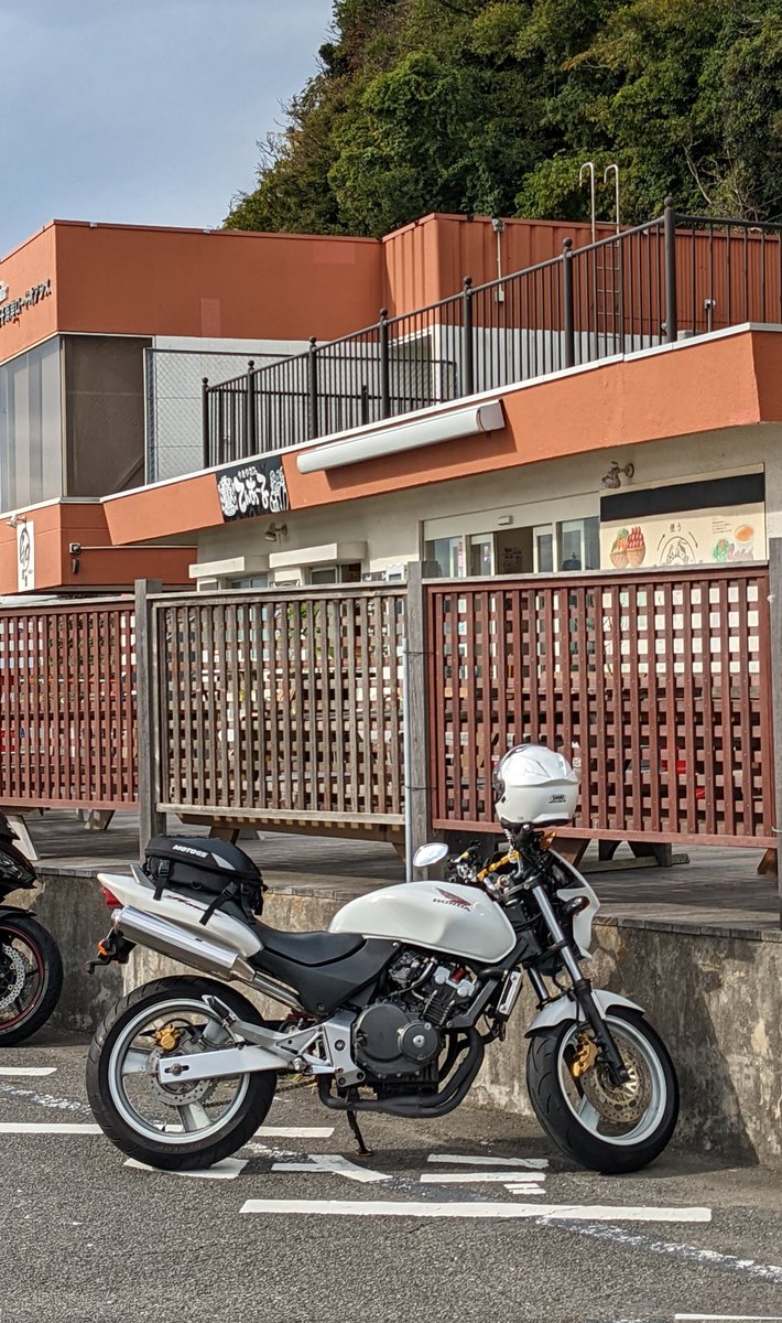 🐾三毛狸🐾蜂兵衛&青狸 On Twitter Cb乗りの仲間を増やそうキャンペーン Cb650fとhornetcb250f 良かったらフォローしてください根っ‼️🙋