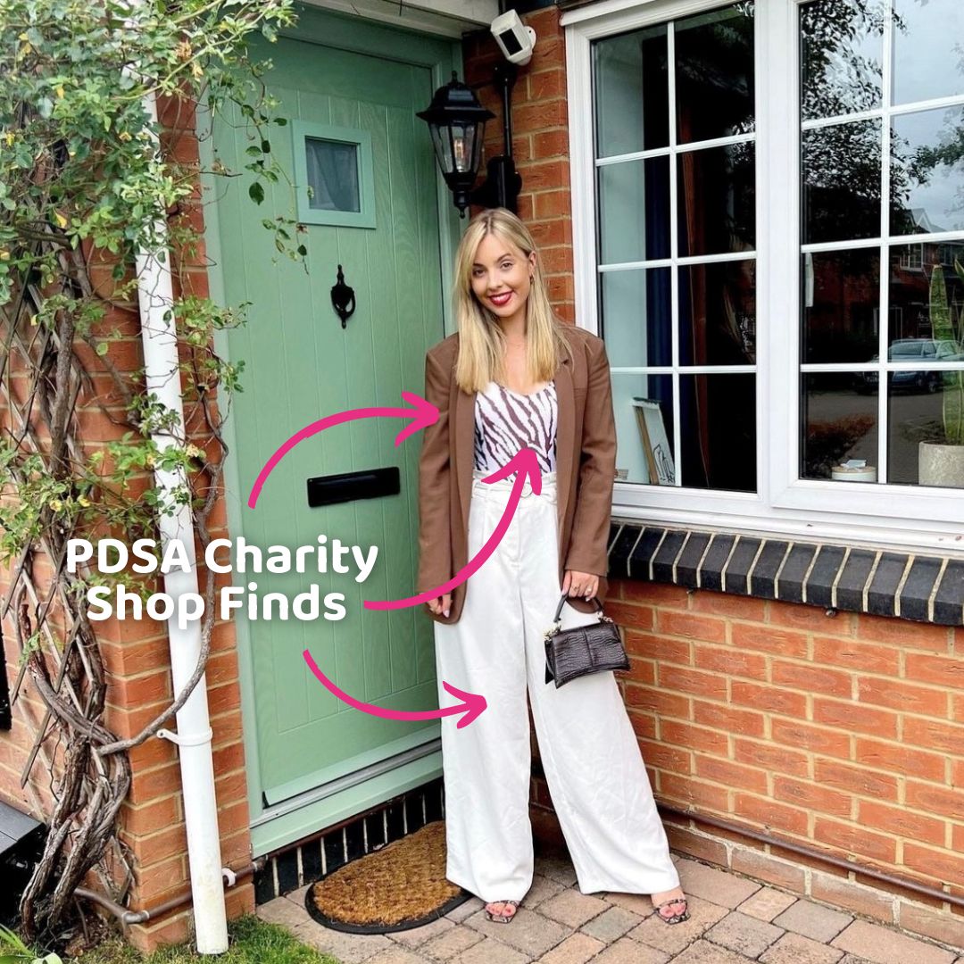 PDSA on Twitter: "As today marks the start of #LondonFashionWeek, we thought we'd share some of ...