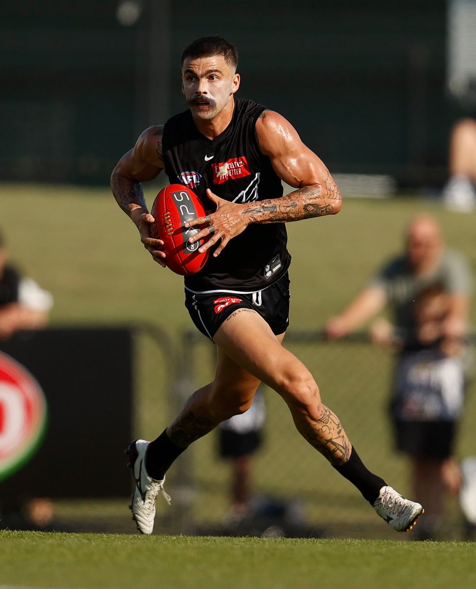 Collingwood Fc On Twitter Suns Out Guns Out 💪