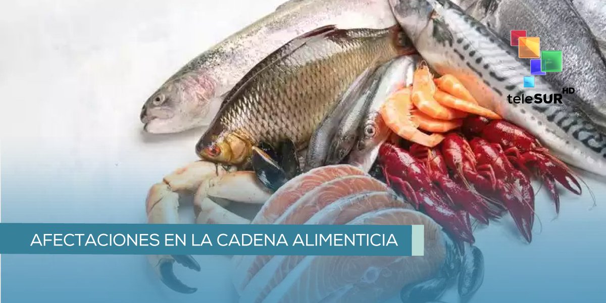 La contaminación más toxica del Mercurio es el Metilmercurio que puede ...