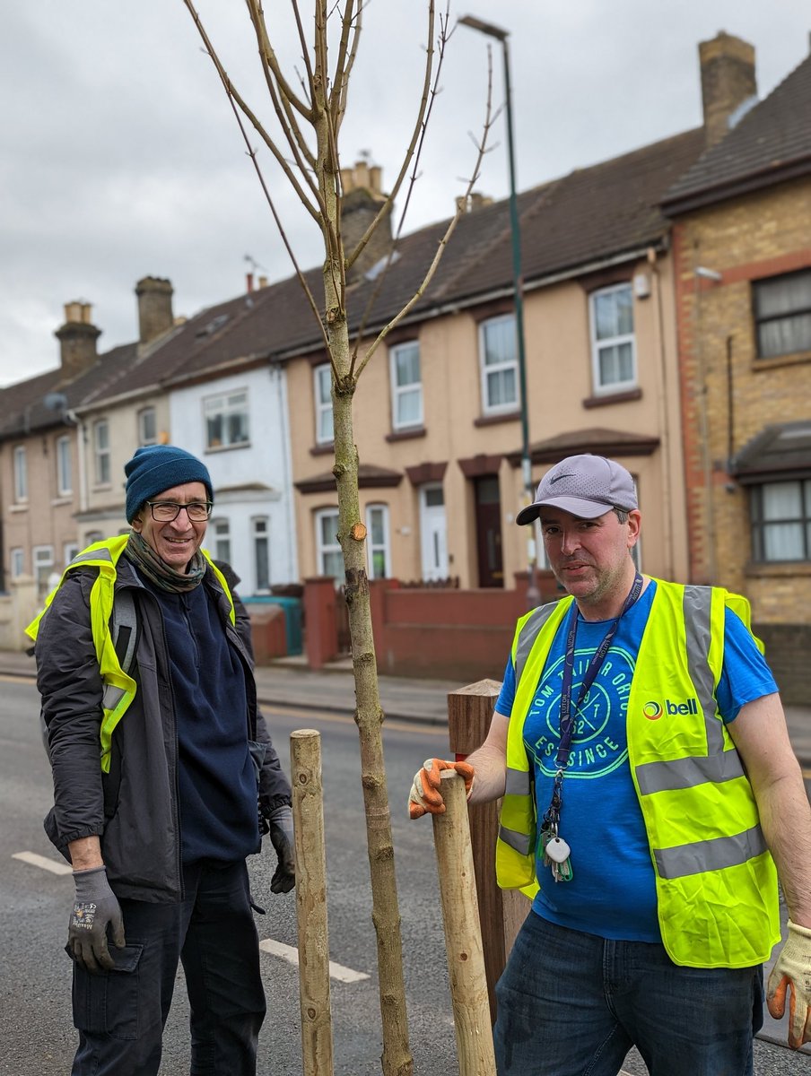 🅰🆁🅲🅷🅴🆂 🅻🅾🅲🅰🅻 on Twitter: "🌳 Luton Road is becoming tree-lined! 📍 Last year we planted Luton Road ...