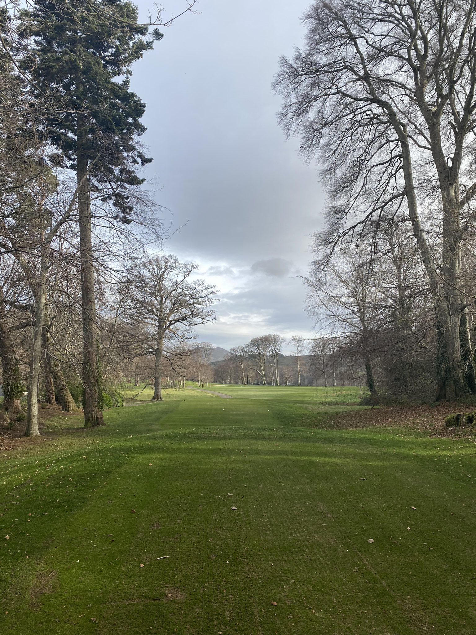 Kevin Markham (@kevinmarkham) / Twitter