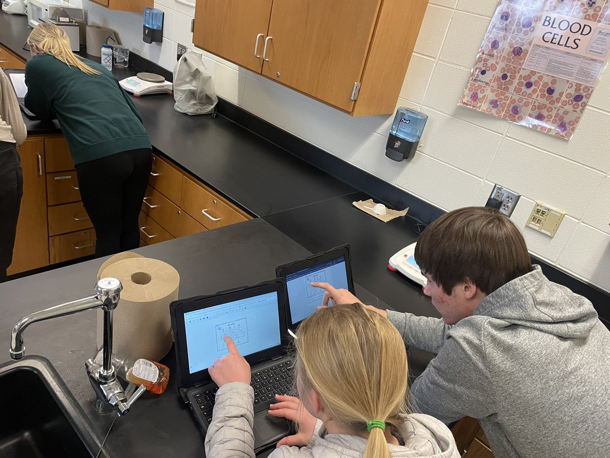 Mr. Brown on Twitter: "Digital escape room in AP Biology today!! We are ...