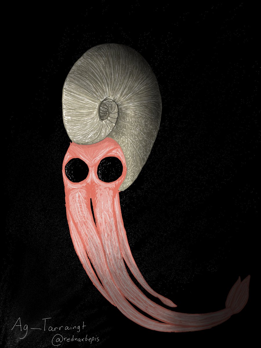 Ag_Tarraingt (@rednaxbepis) さんのイラスト・マンガ作品まとめ (1 件) - Twoucan