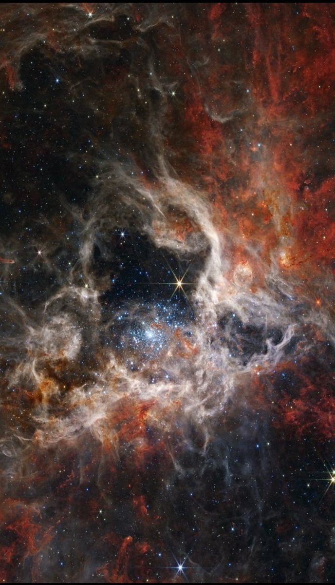 Celebritieslover On Twitter Rt Maiz Julio 📷 A Cosmic Tarantula
