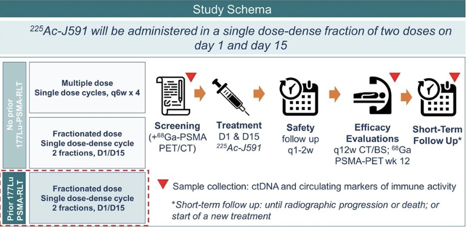 ASCO-GU 2023: A phase I/II dose-escalation study of fractionated 225Ac-J591 for progressive ...