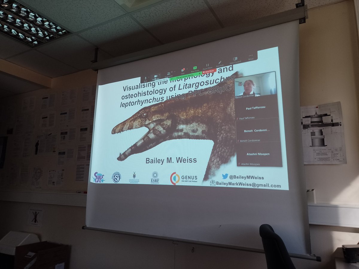 Geo_ESRF on Twitter: "We had our first geobridge coffee talks, that we really enjoyed! Big ...