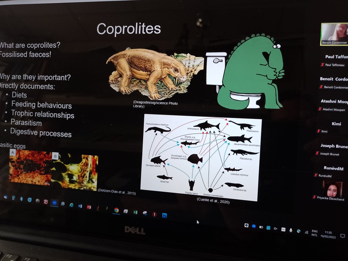 Geo_ESRF on Twitter: "We had our first geobridge coffee talks, that we really enjoyed! Big ...