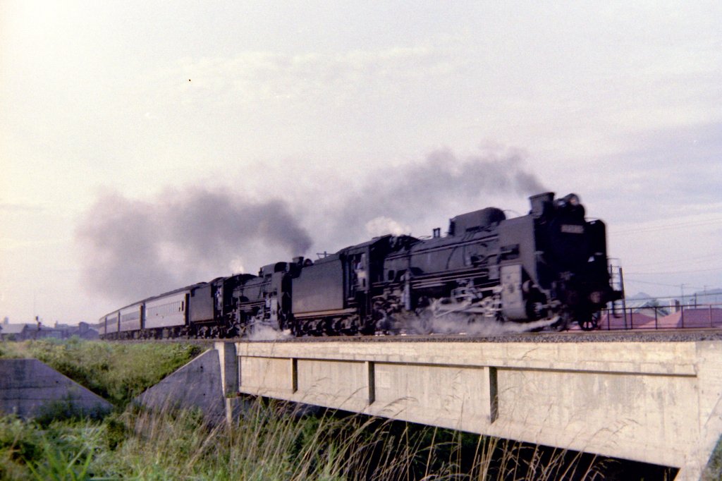 天野美紗夫 on Twitter: "RT @d511007: 栗山〜栗丘。D51、旧客車、重連、2両ともギースル、貨物列車とすれ違い。 贅沢の極み。昭和48年8月。#重連 #ギースル ...