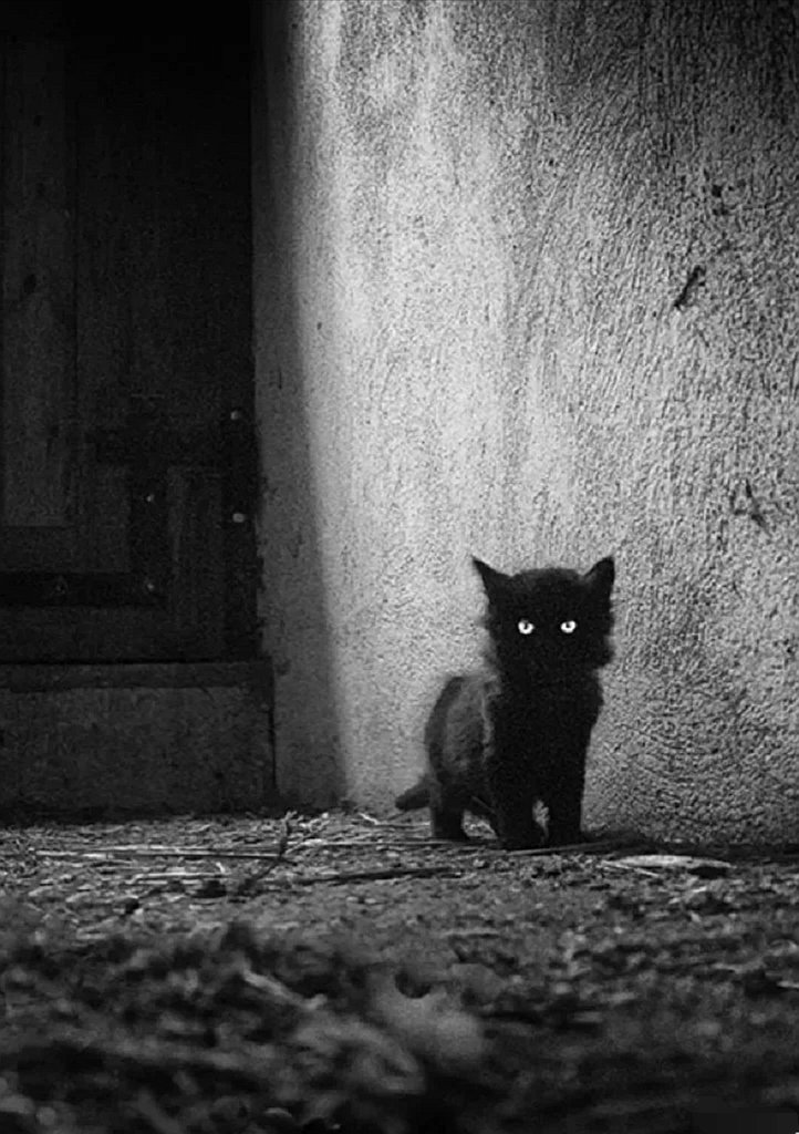 Every individual matters. Every individual has a role to play. Every ...