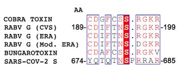 Michael Fernandez_MD_PhD on Twitter: "Find the differences…or the similarities!! https ...