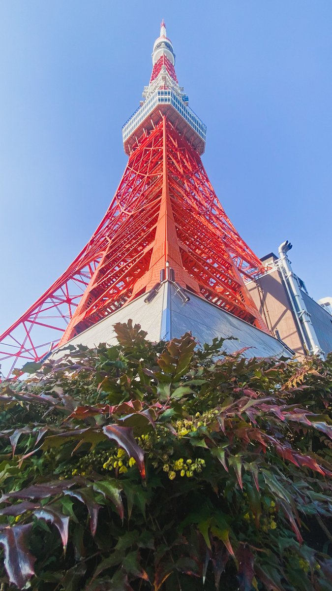 Aria Ghora Prabono on Twitter: "Saya dan travel partner hari ini penasaranan ada apa di ujung ...