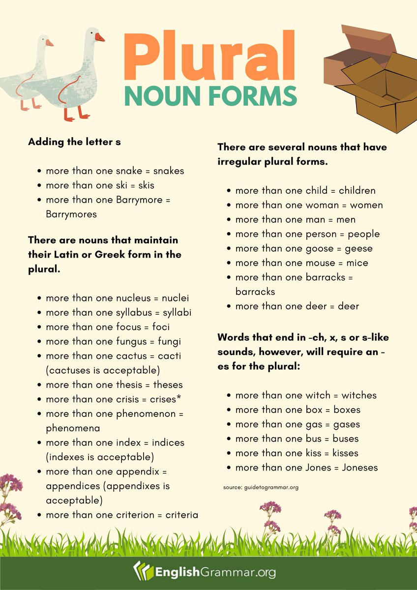 English Grammar on Twitter: "Plural Noun Forms #grammar #writing"