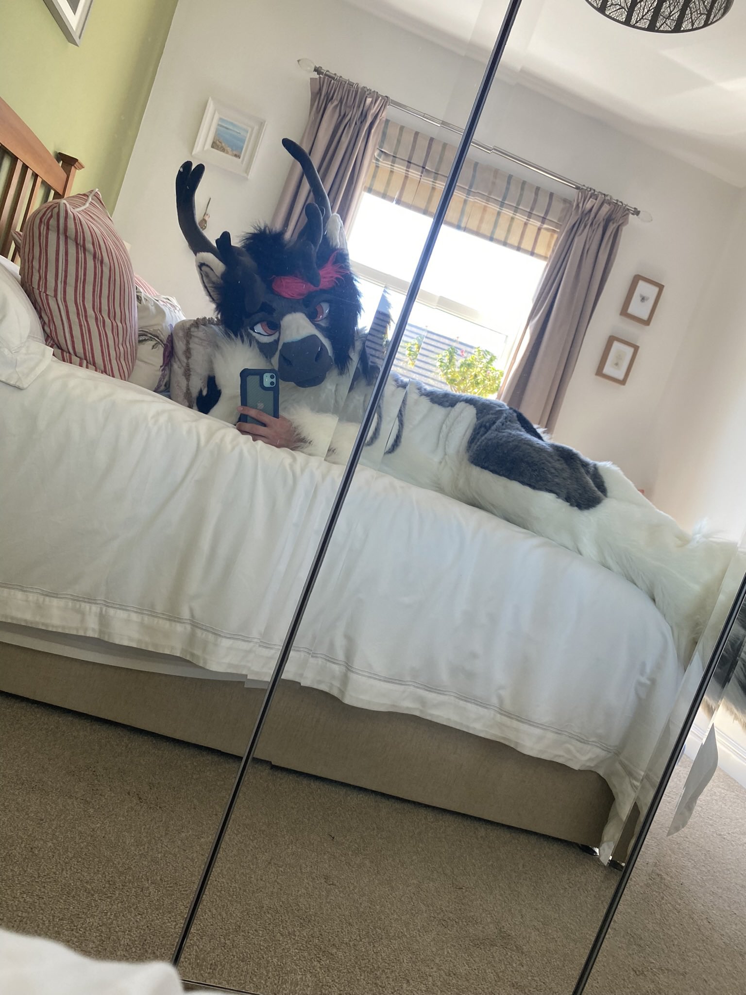 ️Alpha/Delta ️🔜 CFZ23 on Twitter: "Can someone give me cuddles please 🥺 https://t.co/m7nf20LOs2 ...