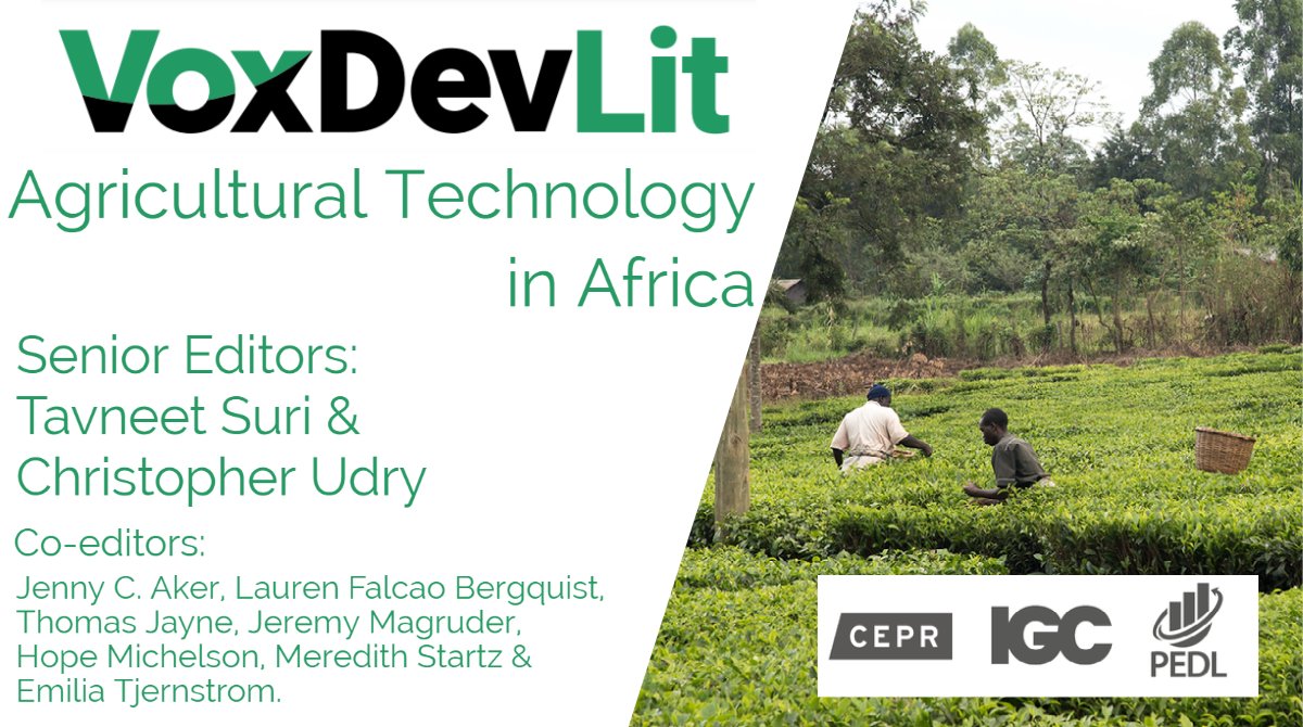 VoxDev on Twitter: "Our new VoxDevLit argues that the heterogeneity in returns to agricultural ...