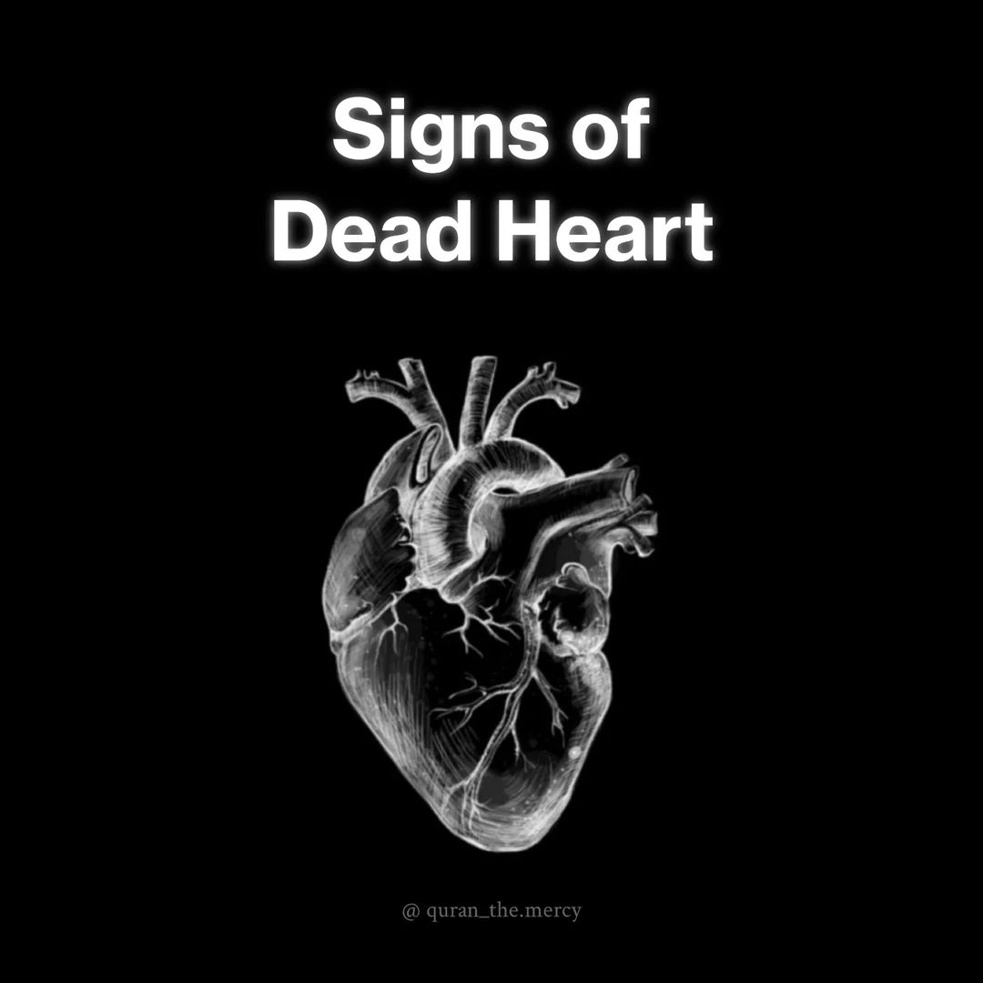 Signs of a Dead Heart... THREAD - المسلسل من Idris @7signxx - رتبها