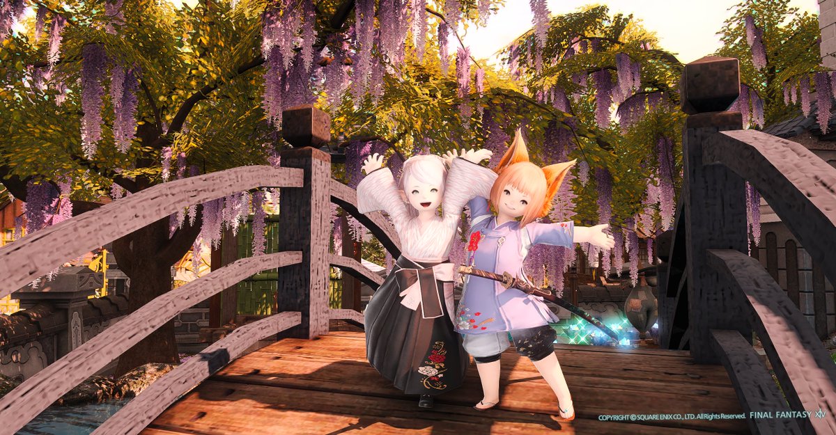 petit mer | StudioXIV