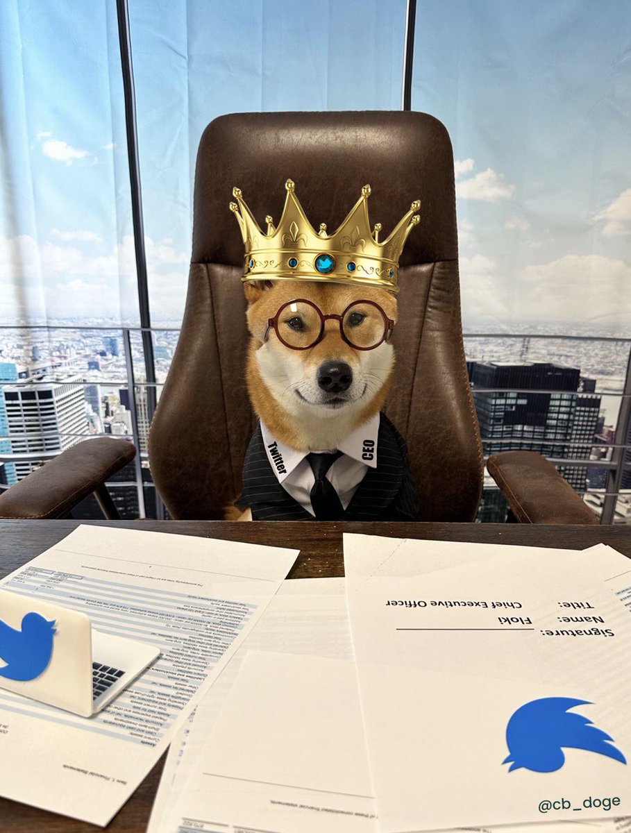 DogeDesigner on Twitter: "RT @cb_doge: Technoking of Twitter! 👑 @elonmusk"