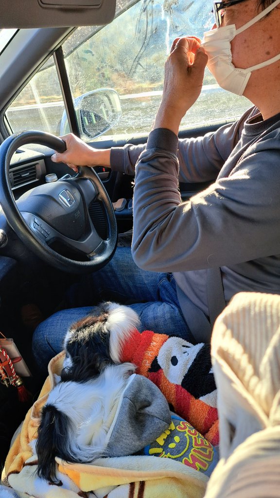 もう(@moozan) - Twilog